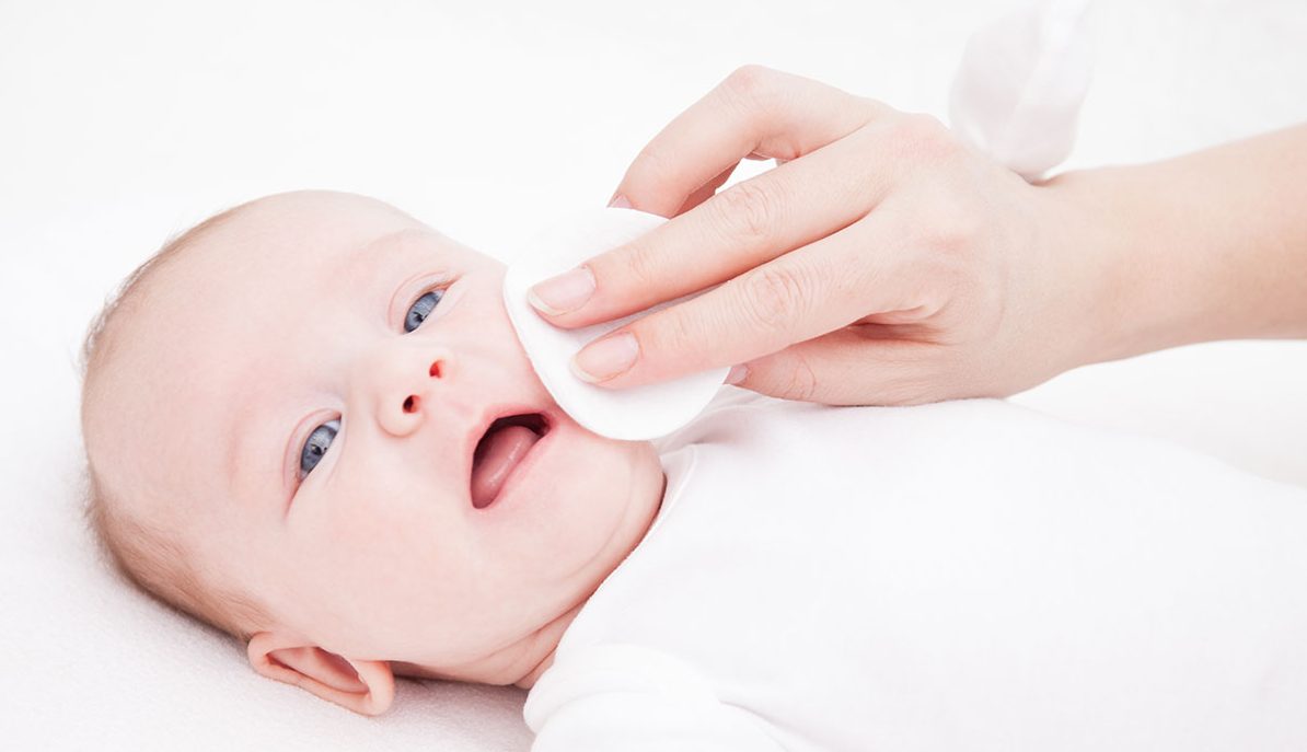 Gifrer | Présentation des nouveaux produits Gifrer - Gifrer